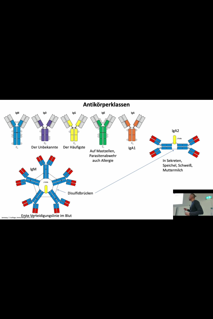 TB6 - 6 - Scheller - Abschnitt 2 - Antigen-Antikörper - TB06 - Biochemie des Immunsystems ...